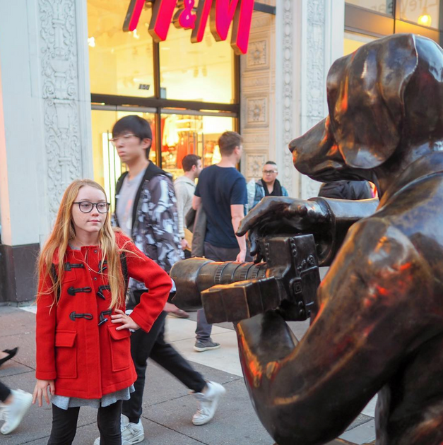 World Famous Paparazzi Dogs Land in San Francisco from Australia ...