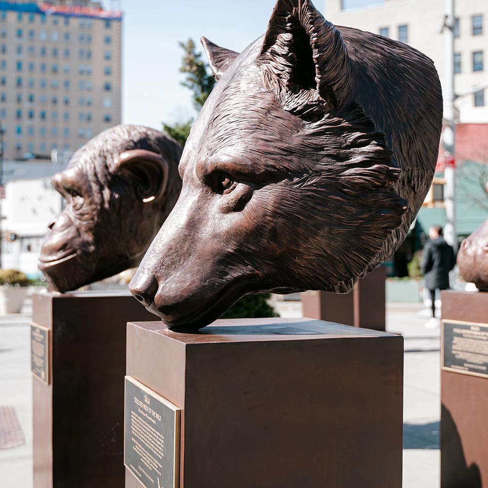 Tala - Red Wolf of the Wild (Bronze Sculpture) – Gillie and Marc®