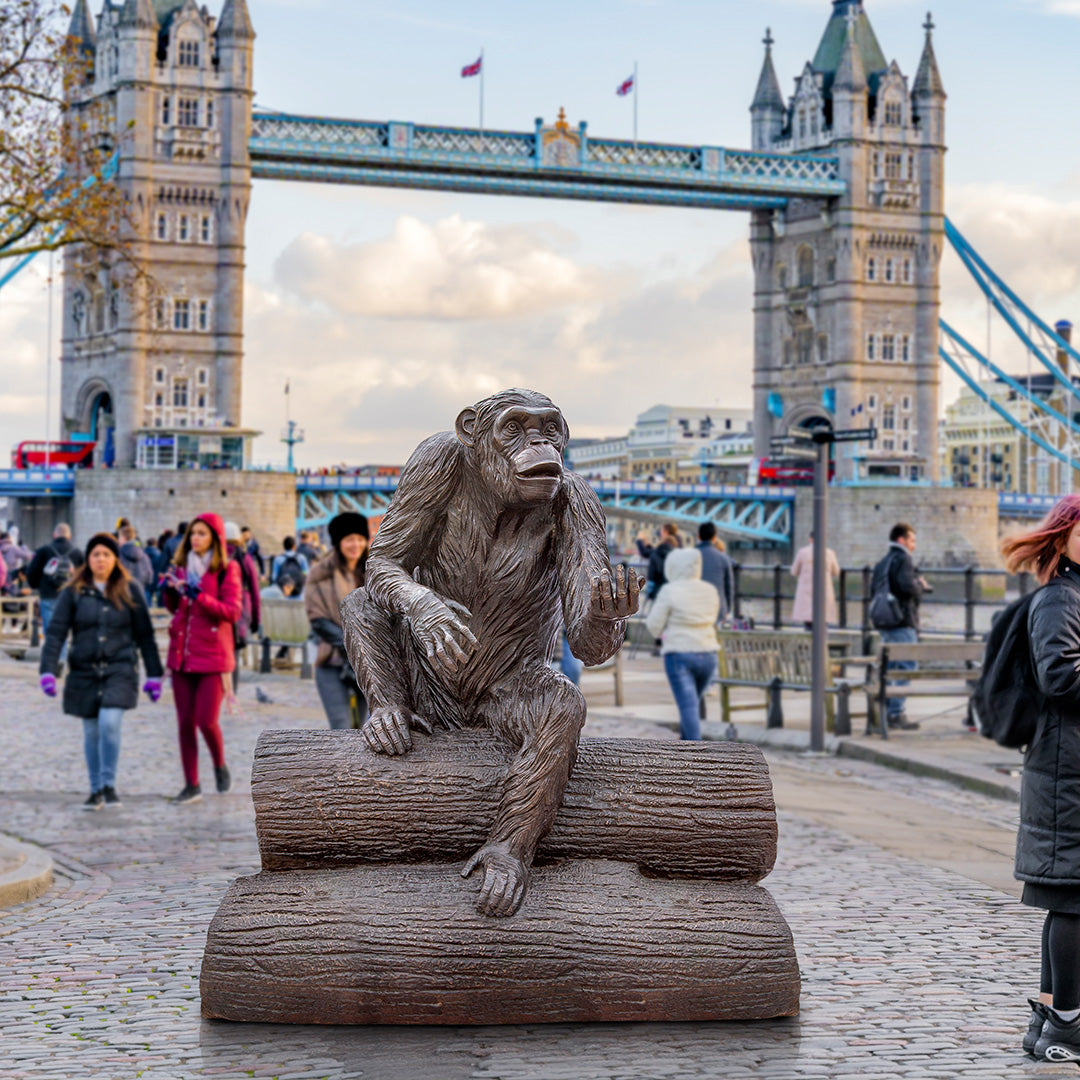 Wild Chimp Communication Skills (Bronze Sculpture) – Gillie and Marc®